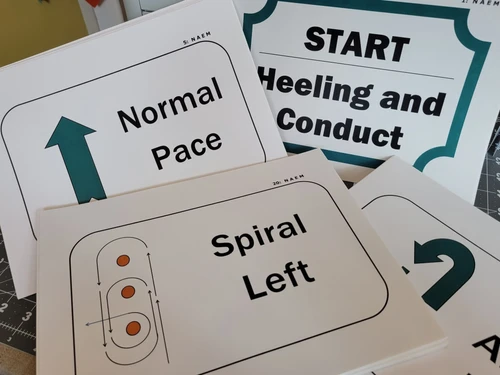 ASCA Rally Full Set Laminated | Rally Signs