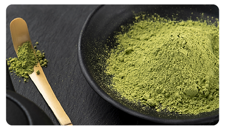 TALLERES | Coffee & Chocolate Expo