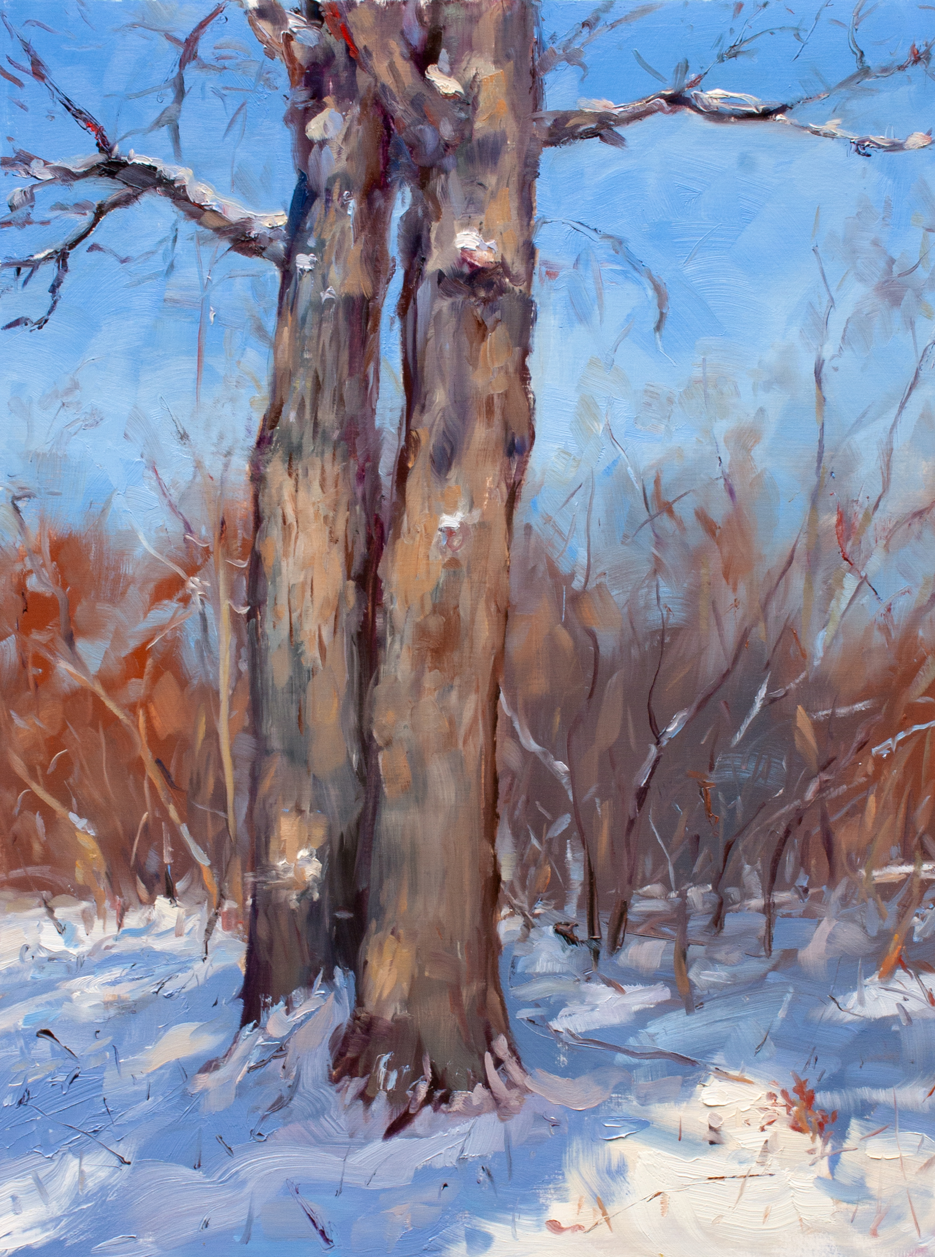 landscape painting, oil painting, james swanson, houses