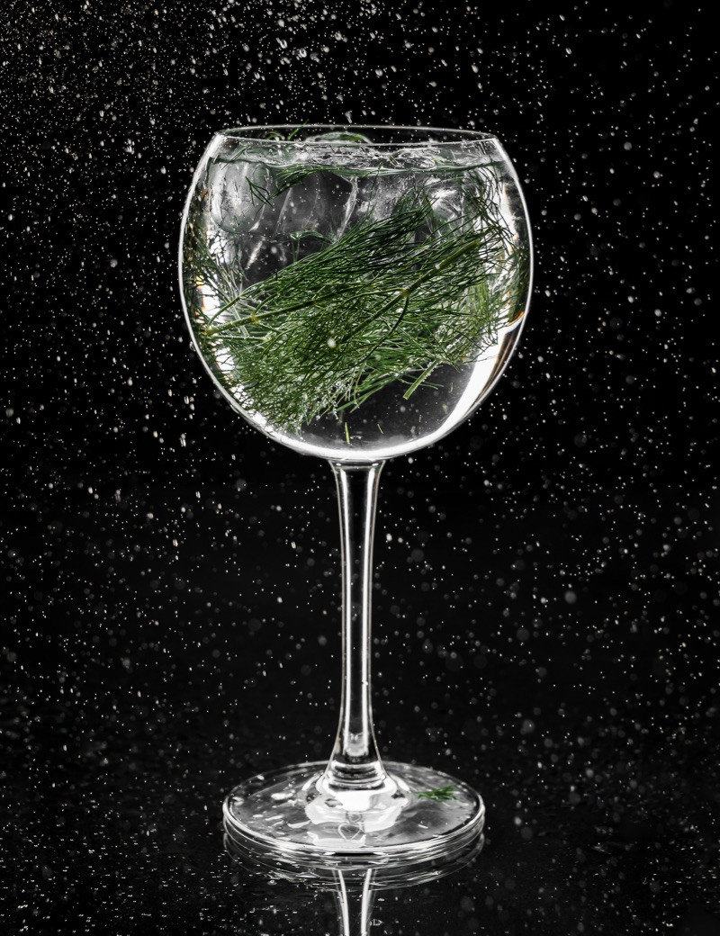DILL GIN & TONIC | F&I Beverages AG