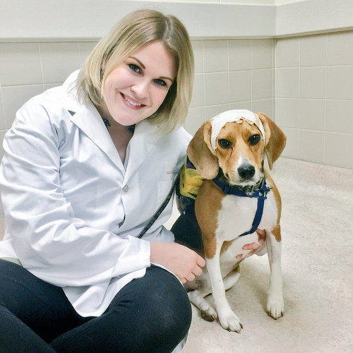 Dr. Rowena Packer | Epilepsy beyond seizures: What do behaviourists ...