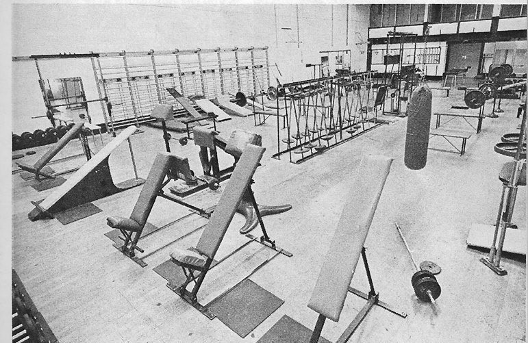 Stuart McRobert Schede per Hardgainer