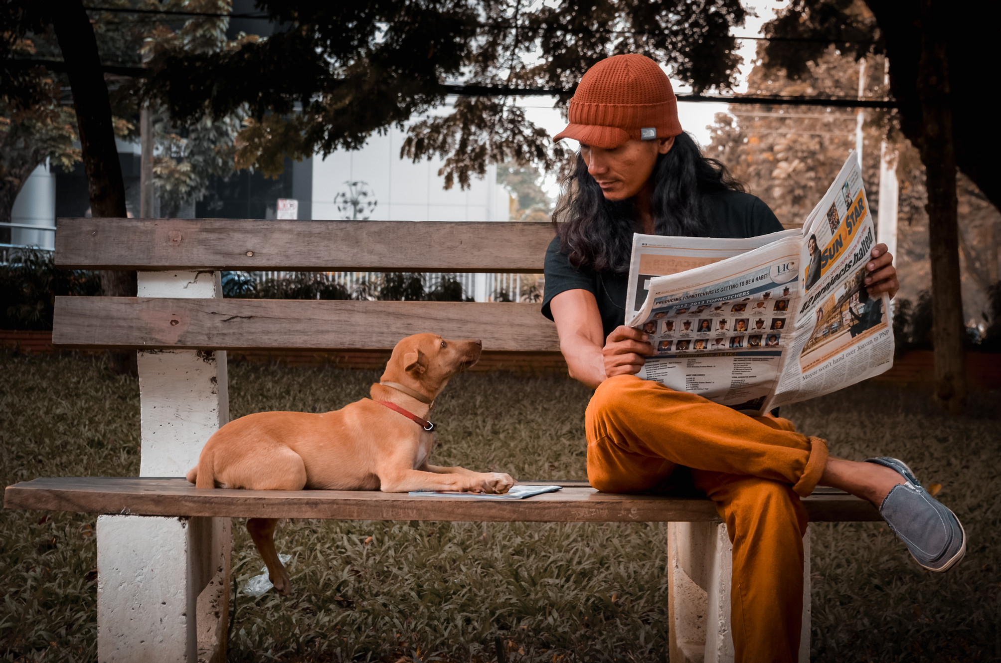 BLOG | Cebu Dog Trainer