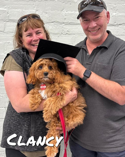 K9 Cafe | SandysGrooming Tails