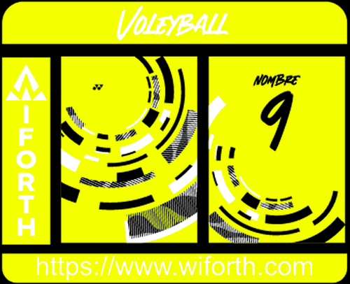 VOLLEYBALL GEO MATRIX | Wiforth