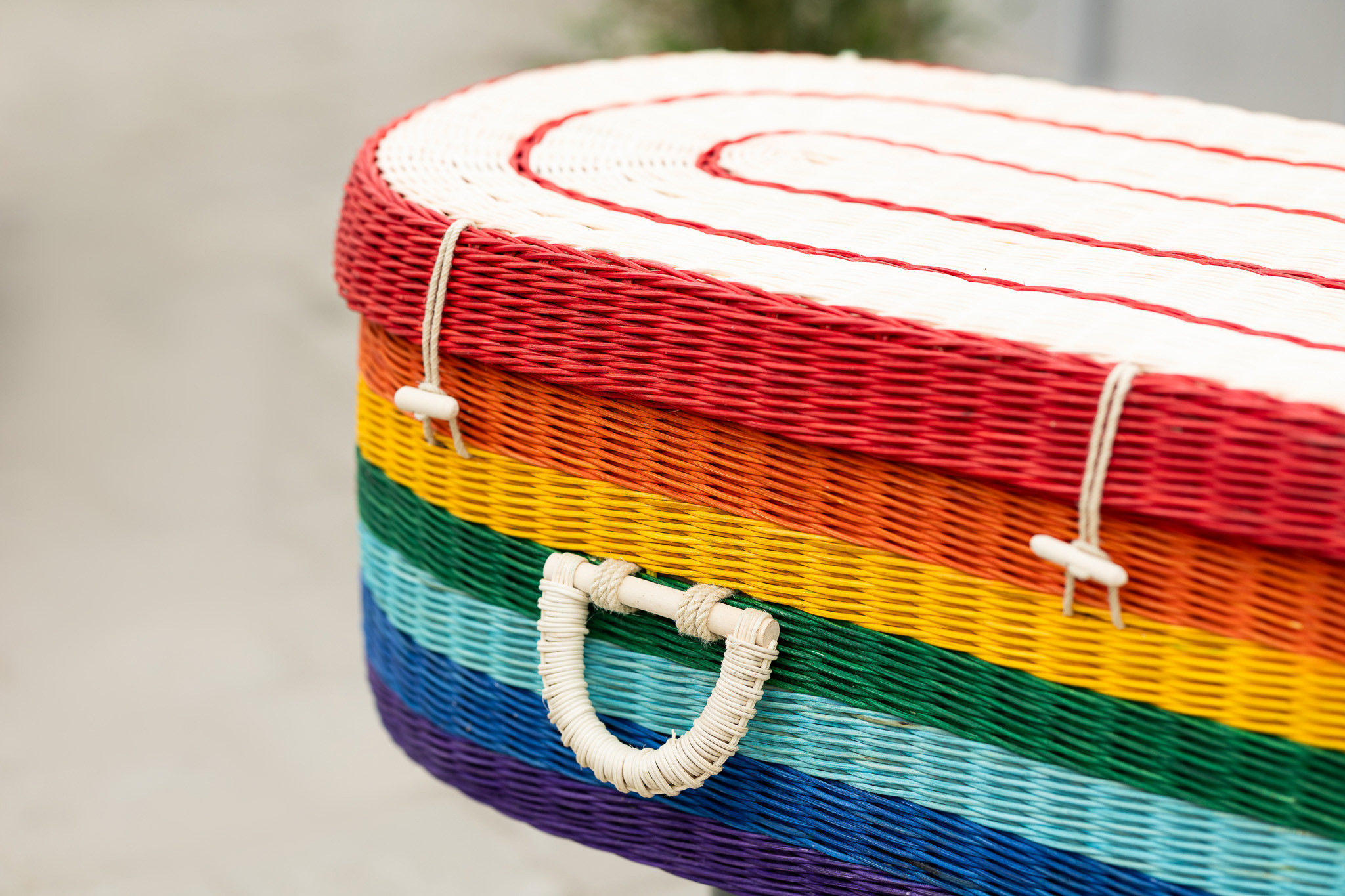 Rotan Rond Regenboog