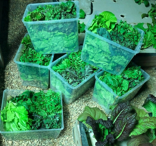 One Time Box Order | Tgw Agriculture