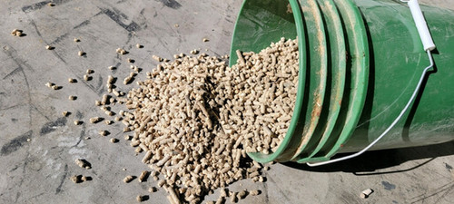 Green Star Absorbent Pellets | LSIM