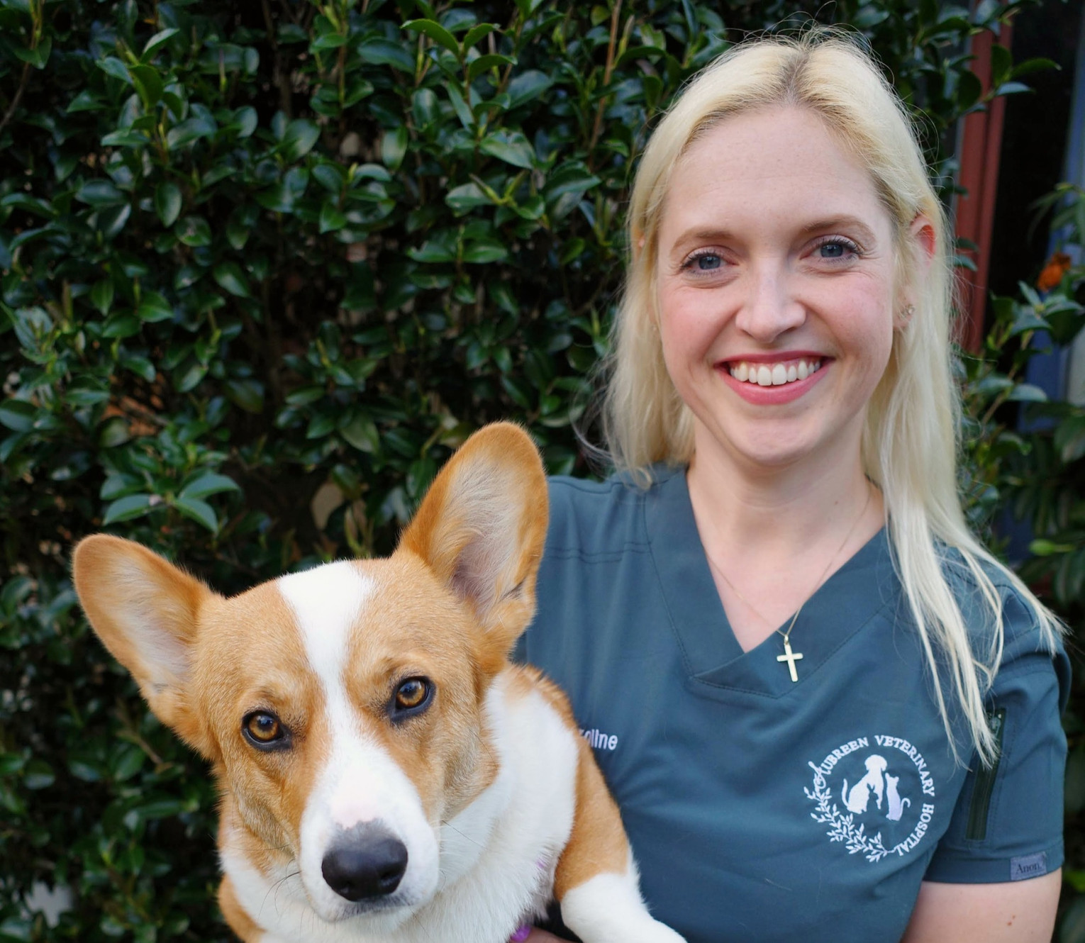 Home | Dr Caroline The Vet | Integrative Veterinarian | 24a Aubreen St, Collaroy Plateau NSW