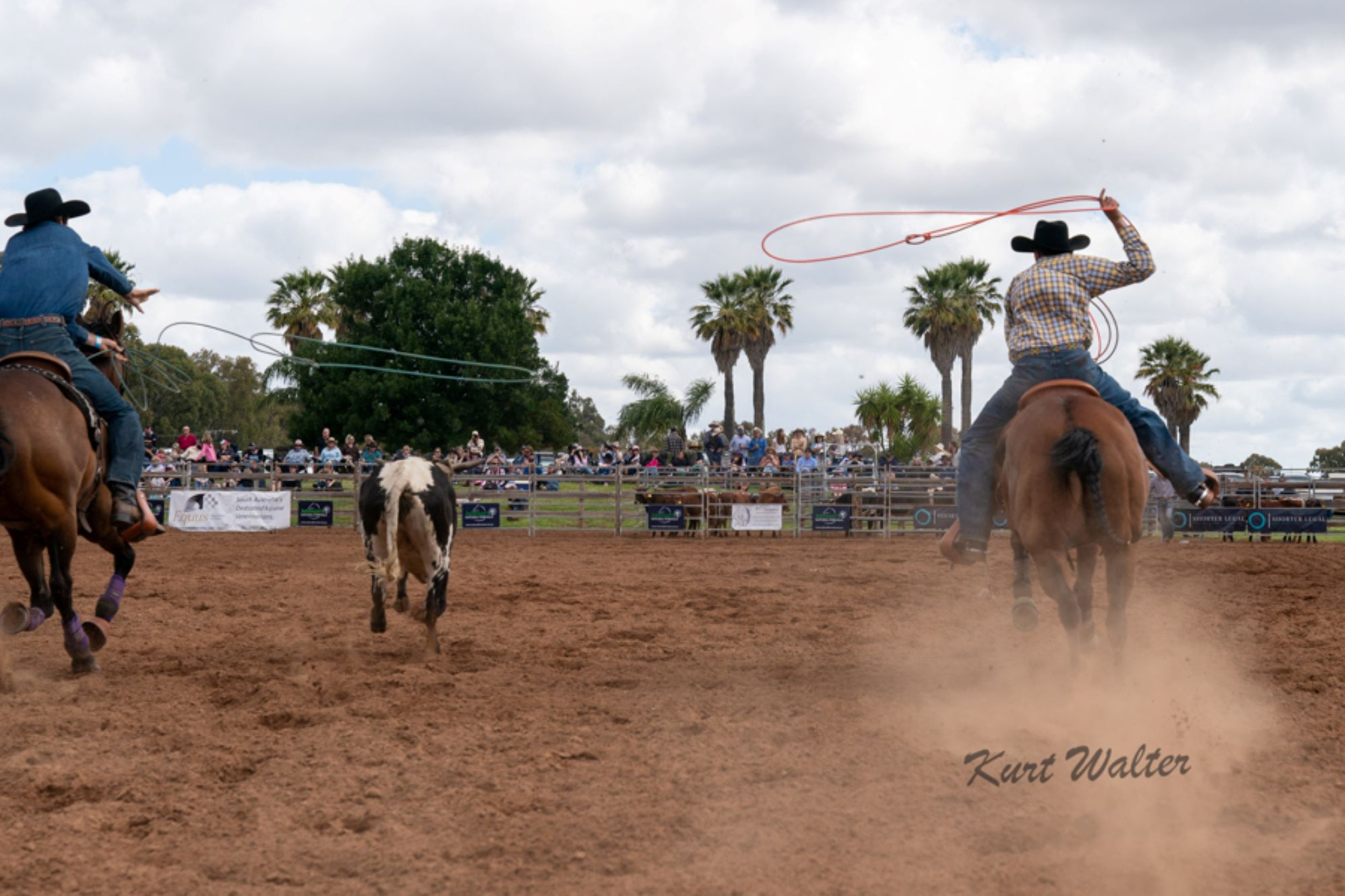 Barossa Rodeo