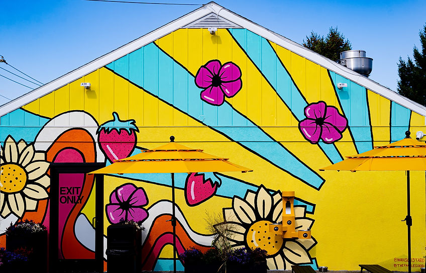 Nikki's Custard | Frozen Custard | 1831 Oregon Pike, Lancaster