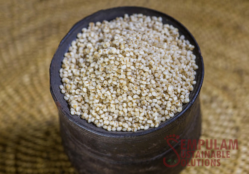 Kodo Millet / Varagu / வரகு - 500g | Namma Nellu | Sempulam