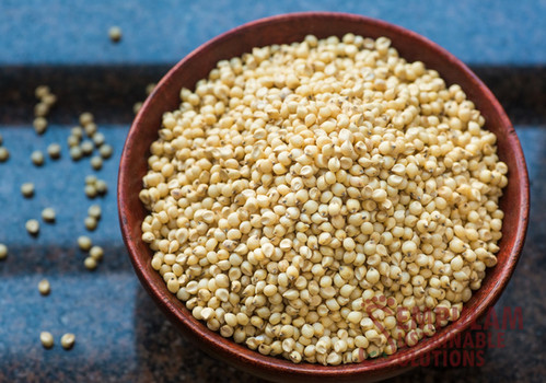 Great Millet / Jowar / Sorghum / Cholam / சோளம் - 500g | Namma Nellu ...