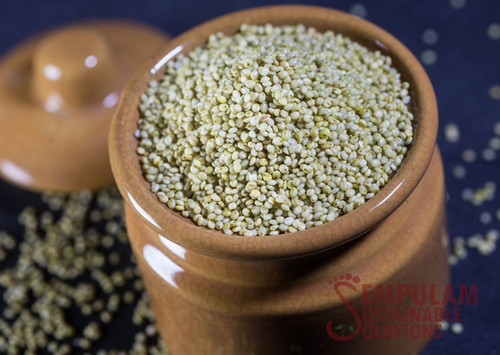 Browntop Millet / Koralu - 500g | Namma Nellu | Sempulam