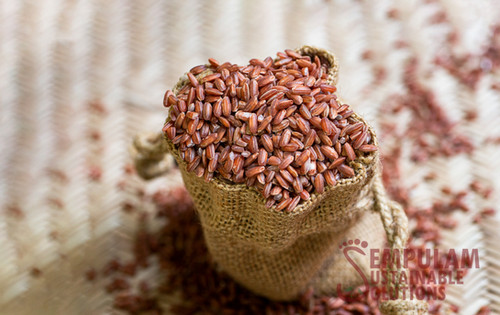 Navara (Raw Rice) / நவரா (பச்சரிசி) - 500g | Namma Nellu | Sempulam