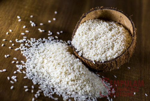 Salem Samba (Raw Rice) / சேலம் சம்பா (பச்சரிசி) - 500g | Namma Nellu ...