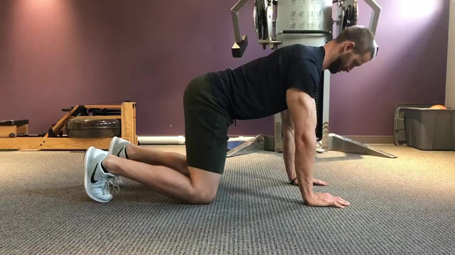 Quadruped Protraction/Retraction