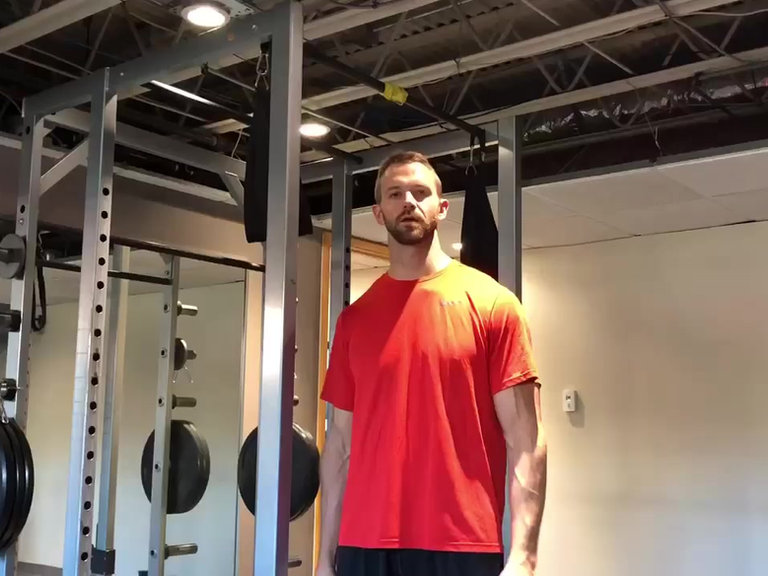 Pull-Ups and Vertical Pulling Technique