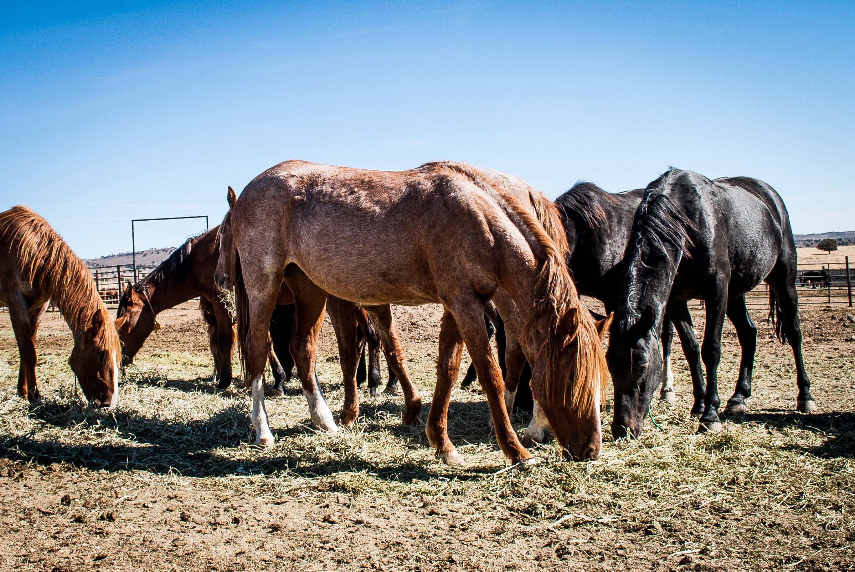 A2a Expedition | Travel Pics | United States of America