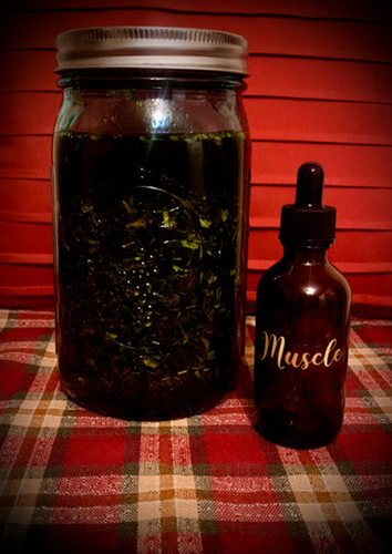 Muscle Elixir | Amy Adams Apothecary