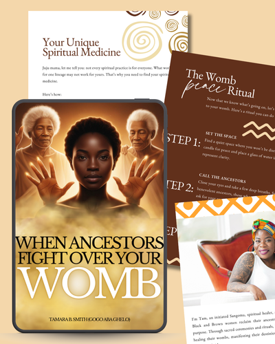 When the Ancestors Fight Over your Womb - eBook | Tam Inspires