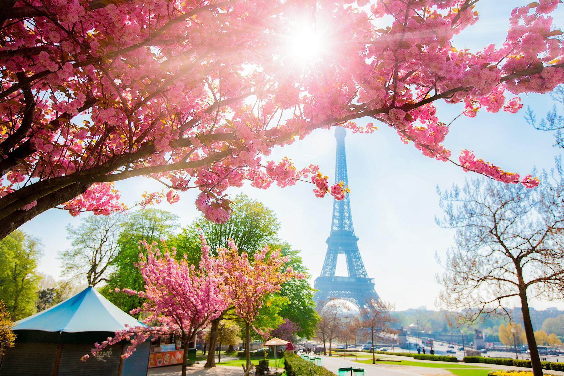 Your Ultimate Guide to Exploring Paris: Tips, Itineraries, and More