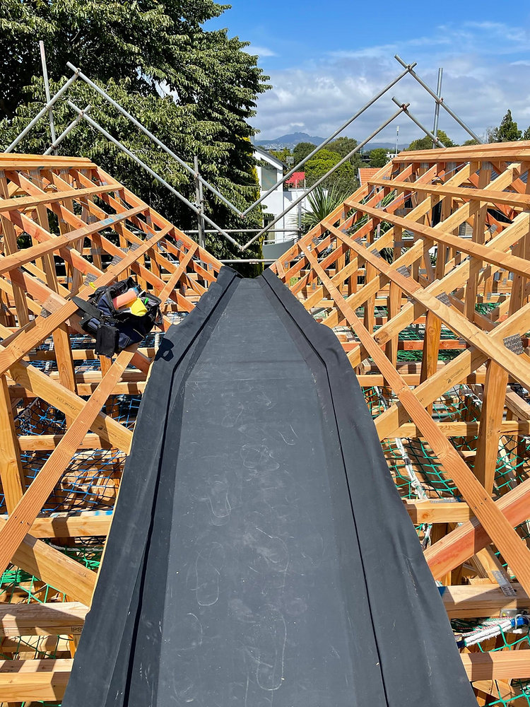 Your Guide to Butynol Roofing