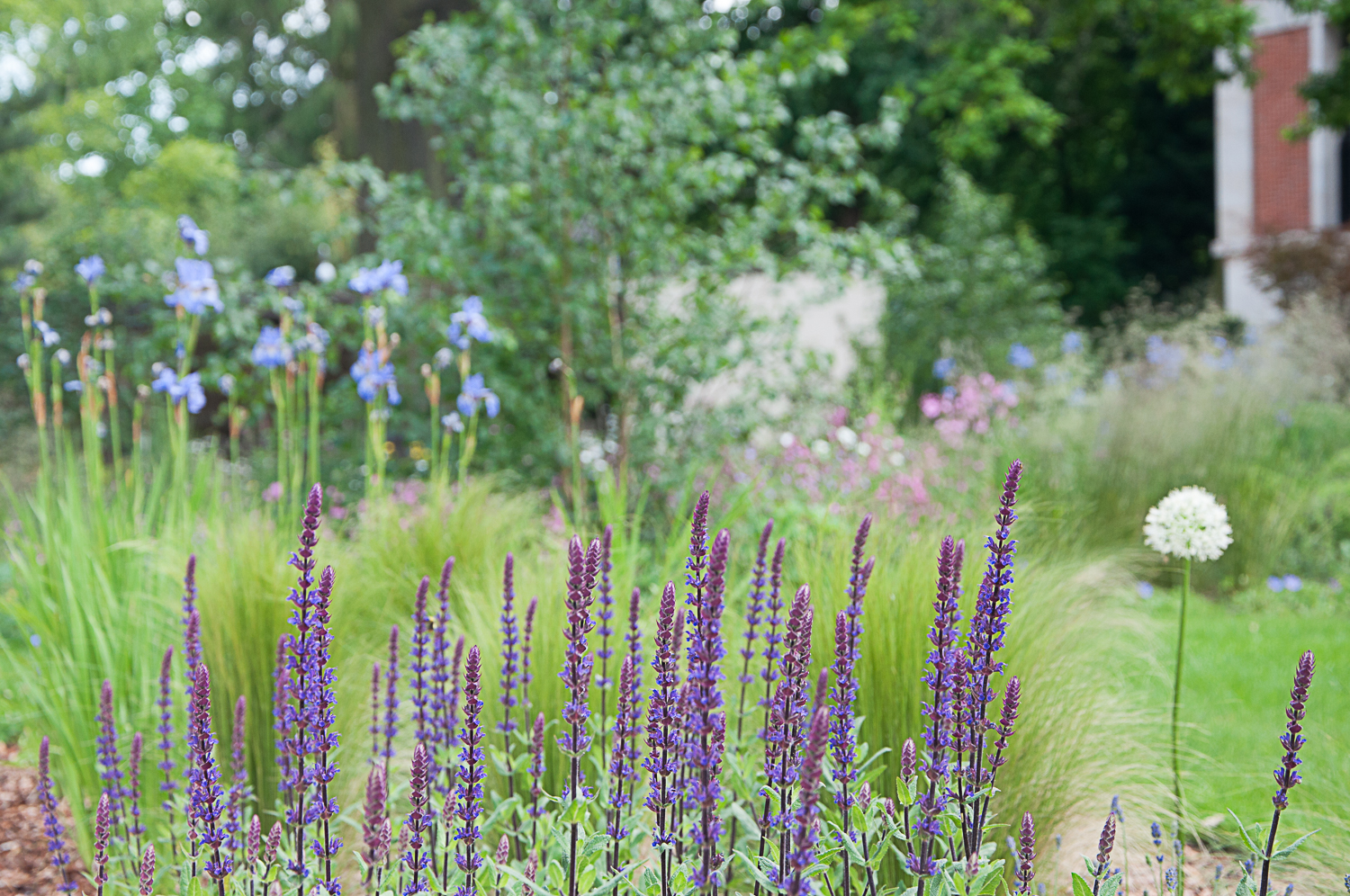 North London | Landscaping projects