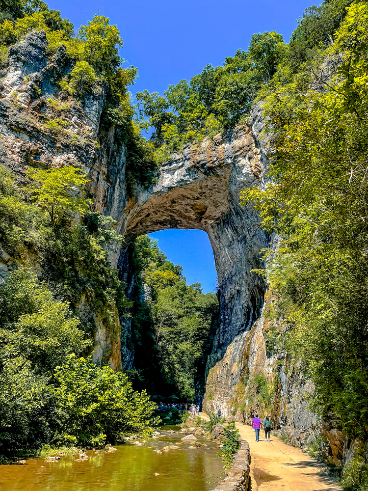 Virginia's Halloween Havens: Unveiling the Most Unique, Spooky ...