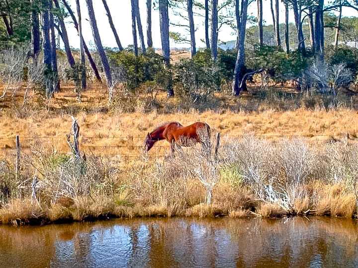 Ultimate Virginia Summer Adventure Bucket List - Kris Maria Wanders ...