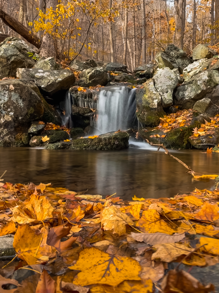 Best Fall Hikes in Virginia to See Foliage - Kris Maria Wanders ...