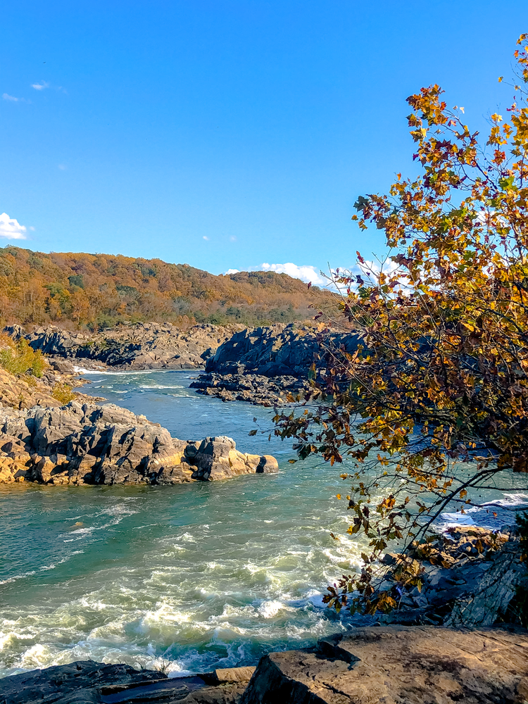 Best Fall Hikes in Virginia to See Foliage - Kris Maria Wanders ...