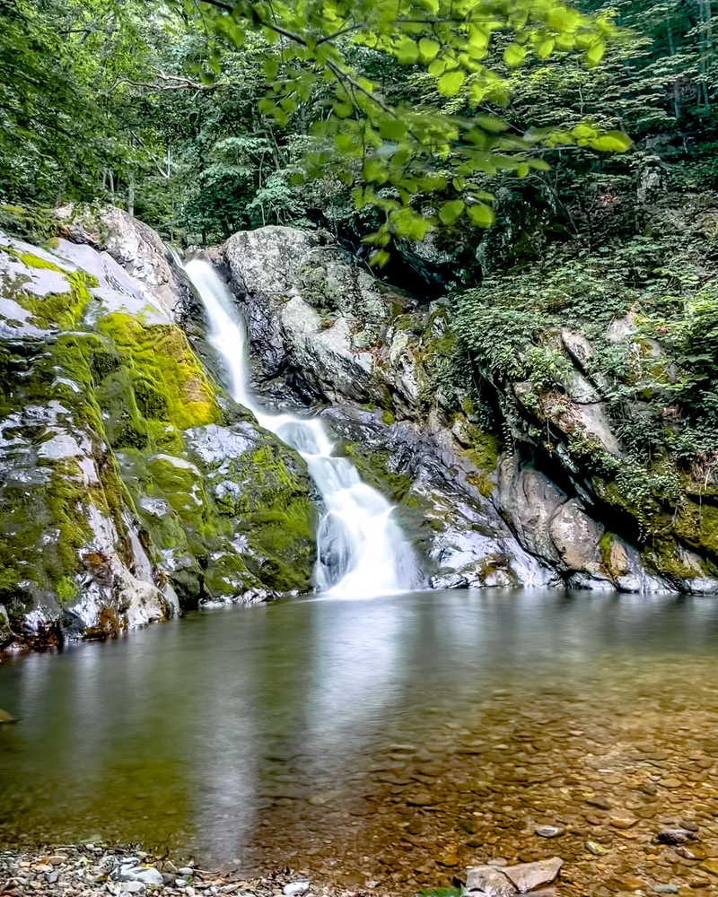 11 Best Hikes in Shenandoah National Park (with Waterfalls!) - Kris ...