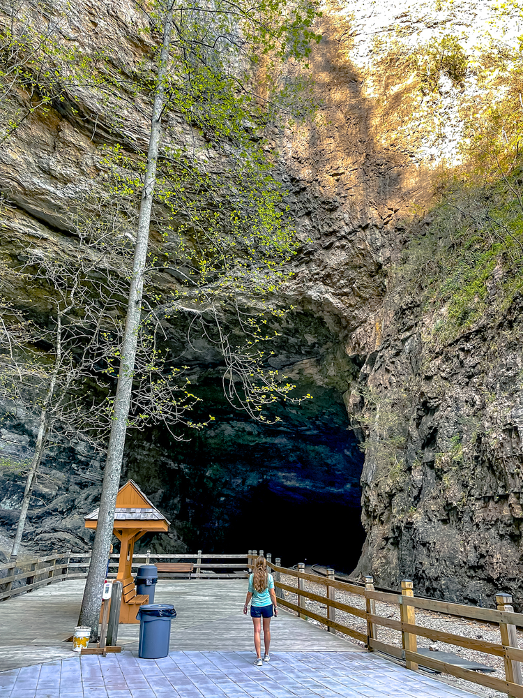 Virginia's Halloween Havens: Unveiling the Most Unique, Spooky ...