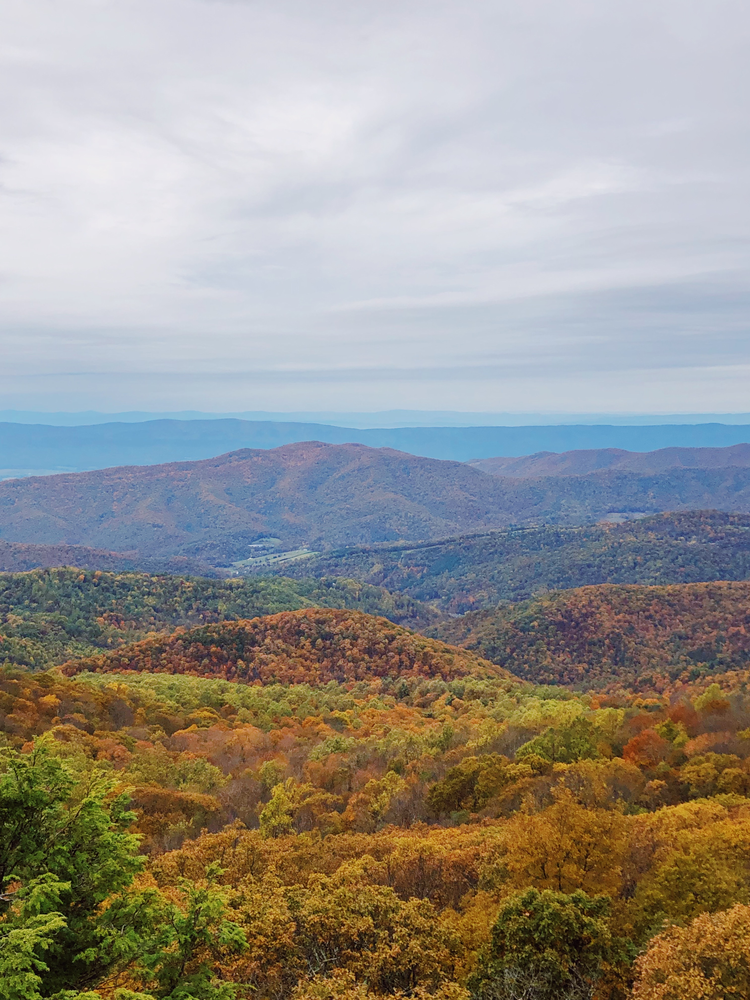 Best Fall Hikes in Virginia to See Foliage - Kris Maria Wanders ...
