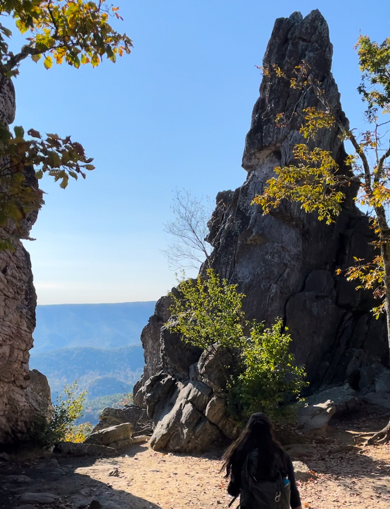 Virginia's Halloween Havens: Unveiling the Most Unique, Spooky ...