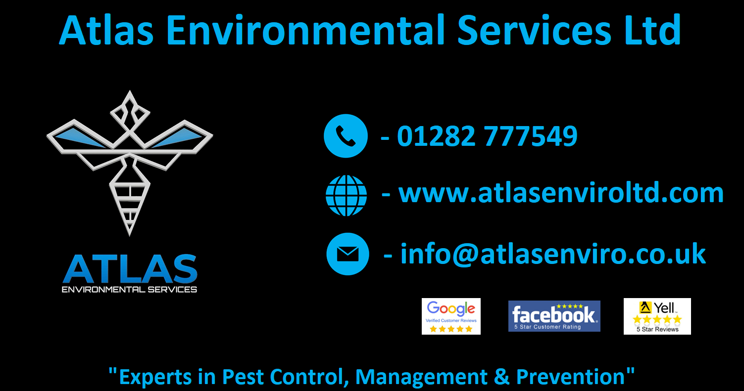 Commercial Pest Control Burnley & Lancashire - Atlas Environmental ...
