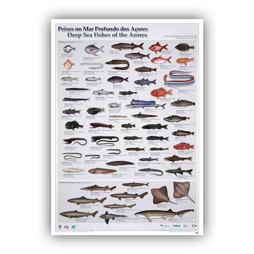 Deep Sea Fishes of the Azores Poster | OCEANIC