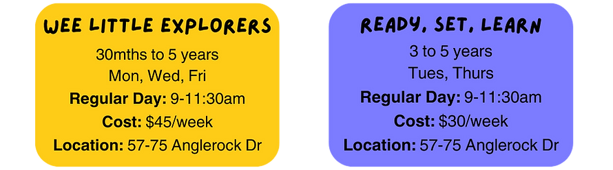 Summer Young Children's Program | Fiddlesticks CC