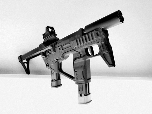 P320/M17 PDW KIT | prototype-division