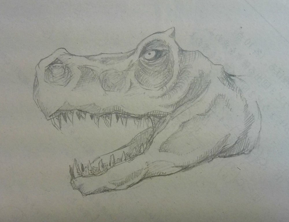 Kyo‐Ryu | 今西コミュニティサイト