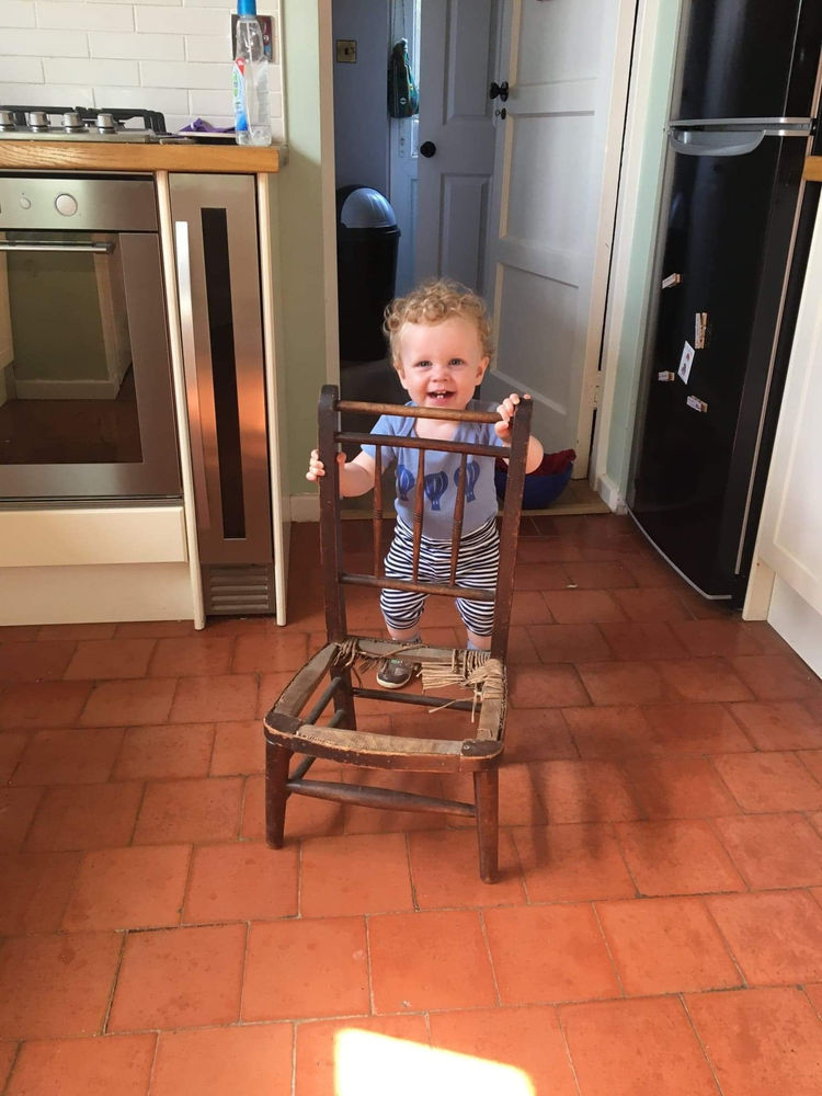 Peter Rabbit Chair Cover