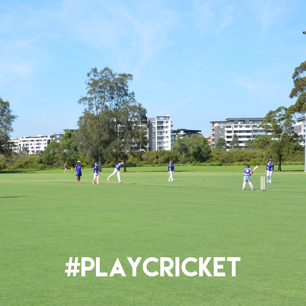 Cricket returns....
