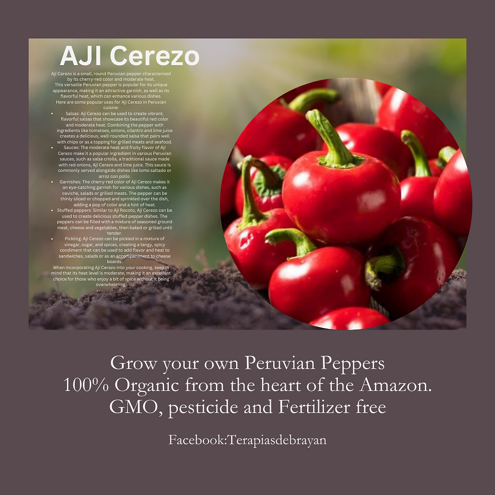 Peruvian Pepper Cerezo seeds | The Walking Tree