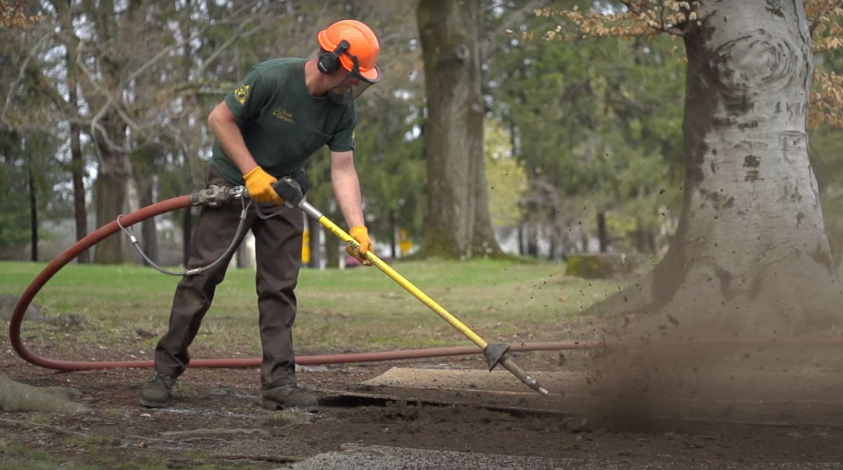 Air Spade Demonstration | Stl Arborists Assoc
