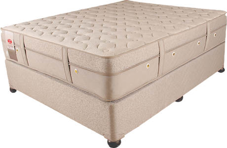 Cotton Rest | Medispine