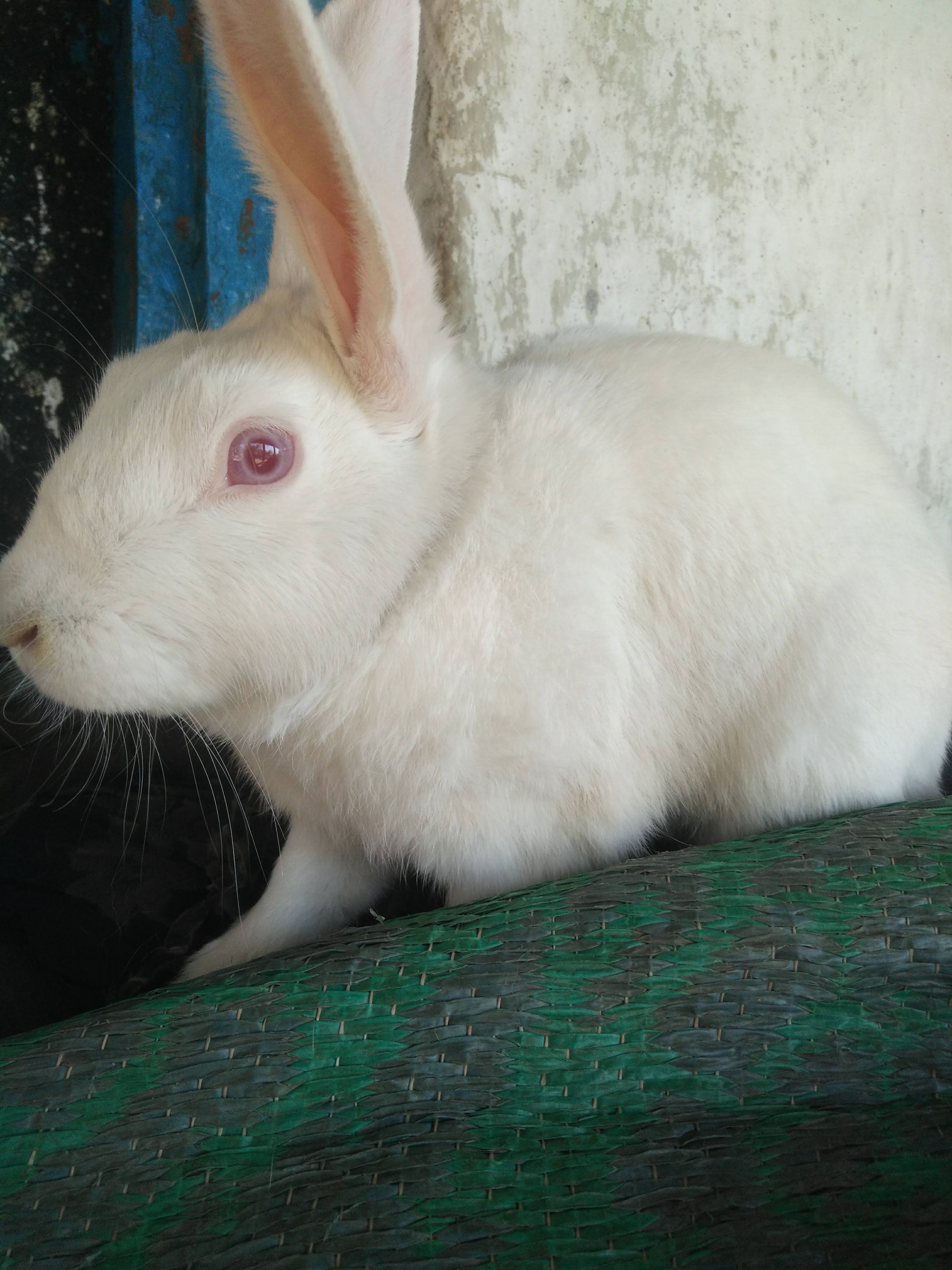 Why Playtime is Essential for Kids