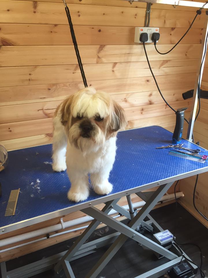 Doggy Tails Grooming Sleaford