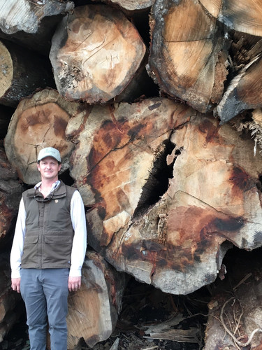 Hardwood lumber | LeMoyen Mill & Timber | Bunkie