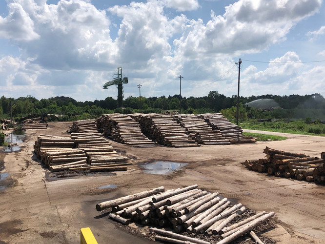 Hardwood lumber | LeMoyen Mill & Timber | Bunkie